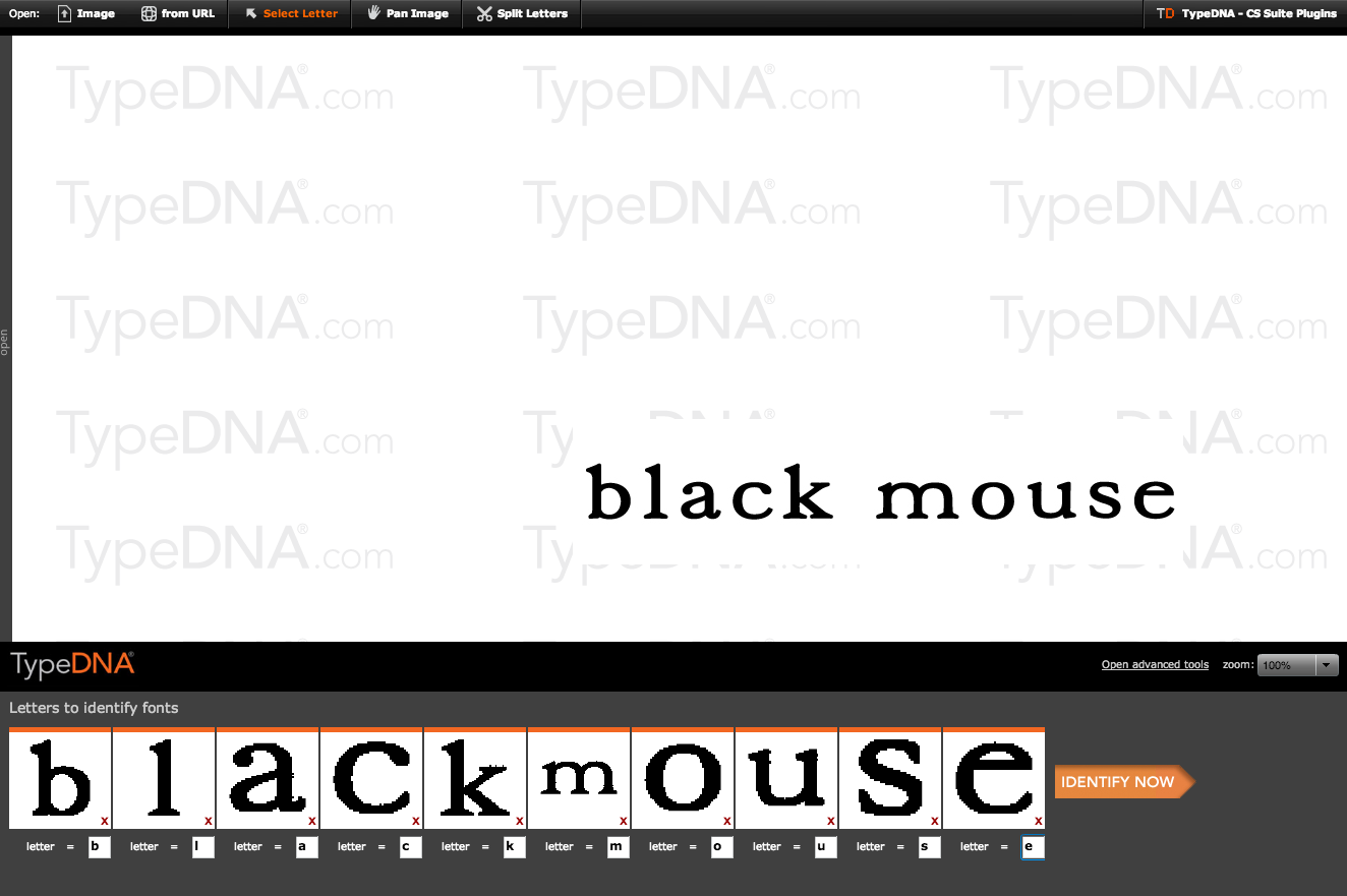What typeface is that? Black Mouse Design